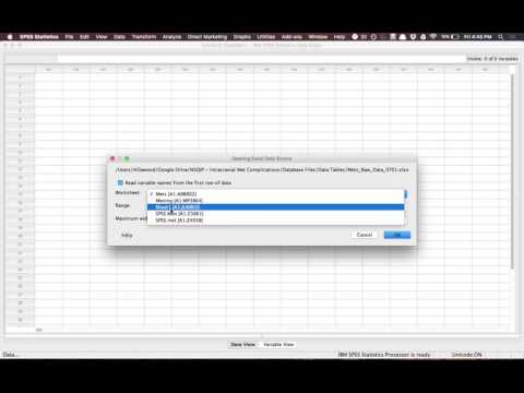 【How to】 Convert Sav File To Excel Online