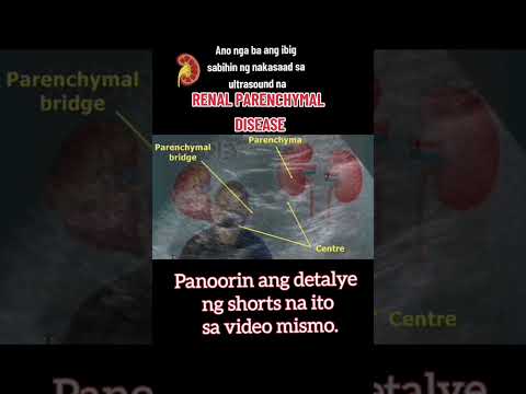 Renal Parenchymal Disease