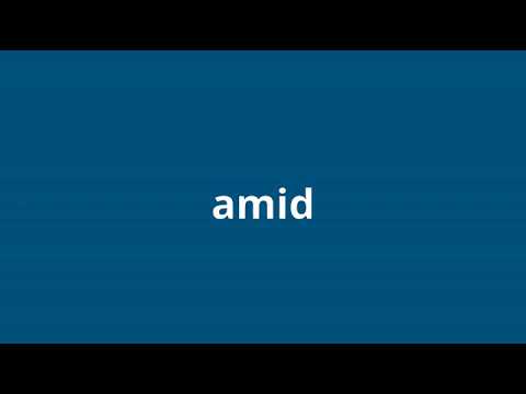 what is the meaning of amid
