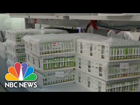 Inside Covid Testing Lab As Cases Surge