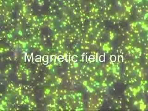 Nanorods could greatly improve visual display of information