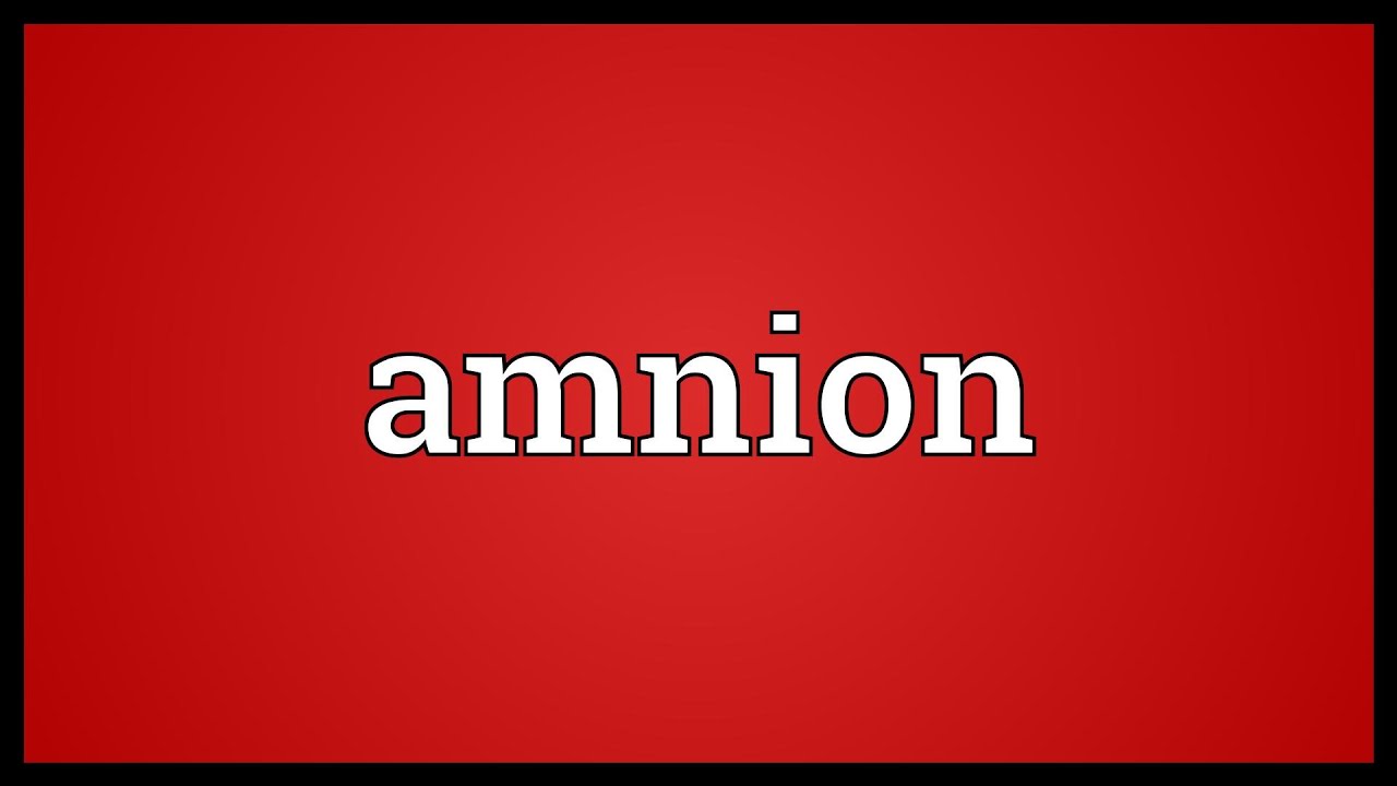 Amnion Meaning