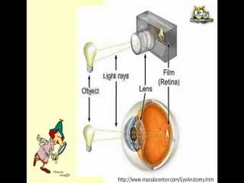 Bagaimana Kita Bisa Melihat??? | Cahya Blog