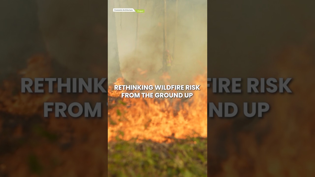 Rethinking Wildfire Risk From the Ground Up