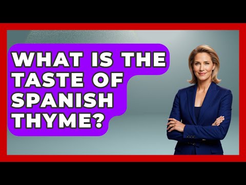 What Is The Taste Of Spanish Thyme? - The Caribbean Expert