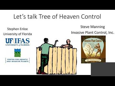 Tree of Heaven Management Strategies when Tools are Limited