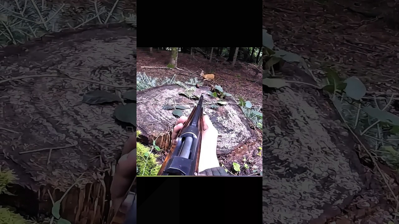 Deer Taken Down at 3 Feet | Insane Close Range Shot #DeerHunting #HuntingLife #PerfectShot #Wildlife