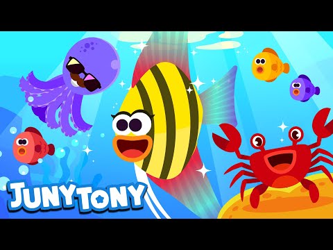 Sea Village | Animal Song for Kids | Let's Meet Octopus, Crab, Shrimp, Angelfish | JunyTony