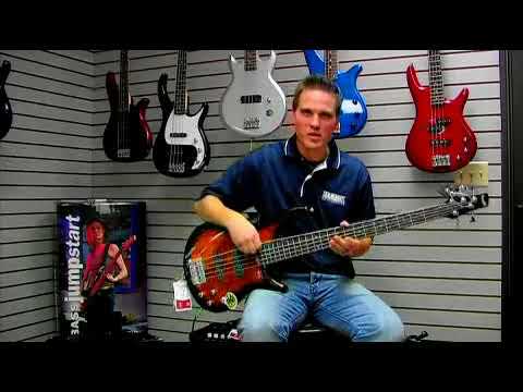 How to Tune a 5-String Bass Guitar
