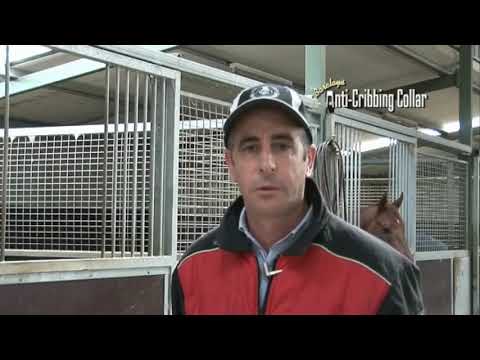 Mythbuster Monday: Shock “Collars” Are an Effective Training Method ...