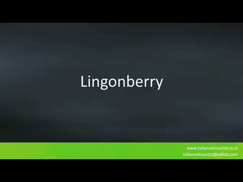 Pronunciation of the word(s) "Lingonberry".