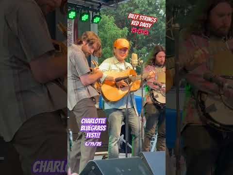 Billy Strings “Red Daisy” 6/19/25 Charlotte Bluegrass Festival #billystrings #bluegrass