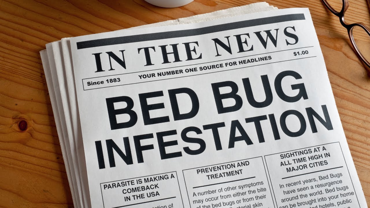 How to get rid of bed bugs in your Home Naturally : A Guide to Natural Bed Bug Eradication