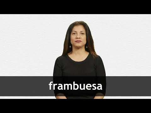 Traducción en inglés de “FRAMBUESA” | Collins Diccionario español-inglés