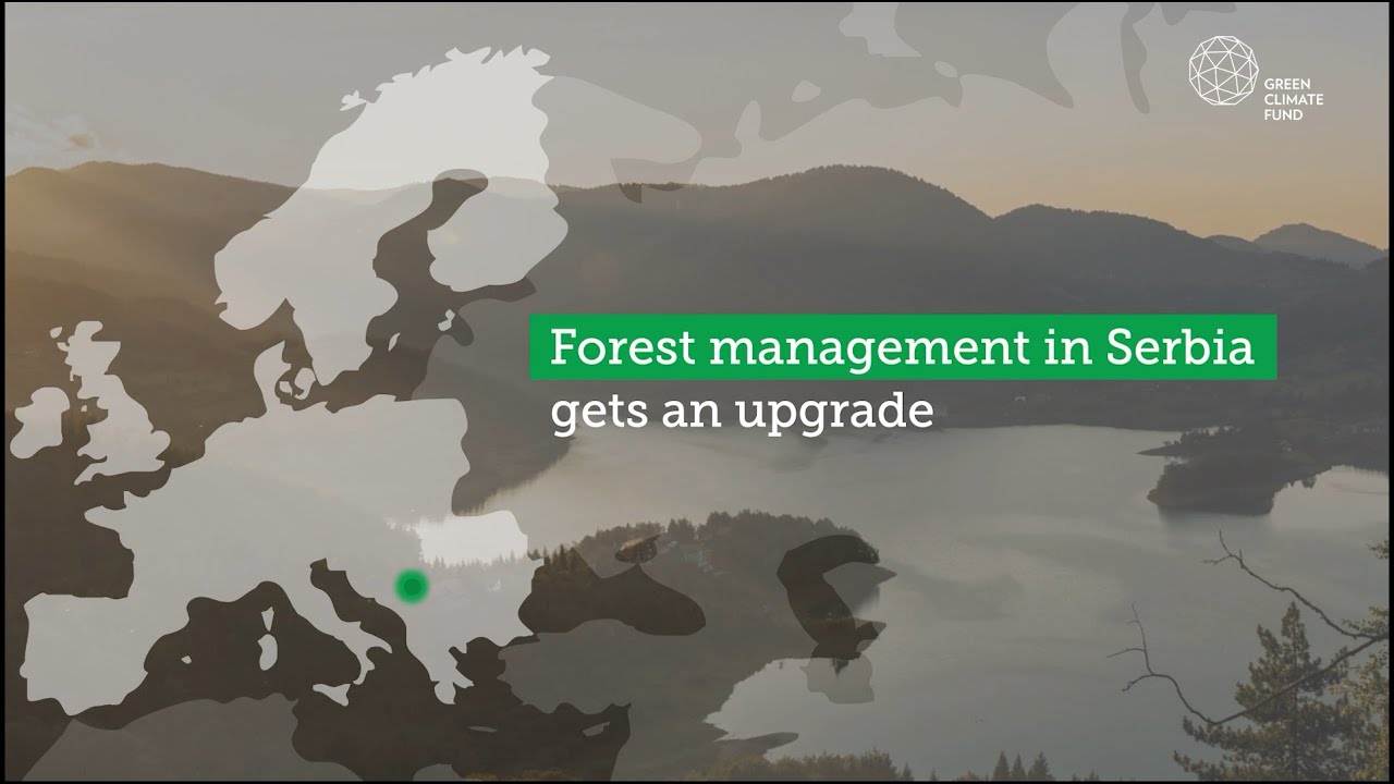 GCF in Serbia: Restoring forests