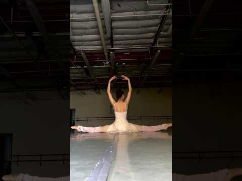 SWAN WINGS #ballerina#ballet#swanlake#odette#blackswan#dancer#arms#ballerinabody#ootd#back#graceful