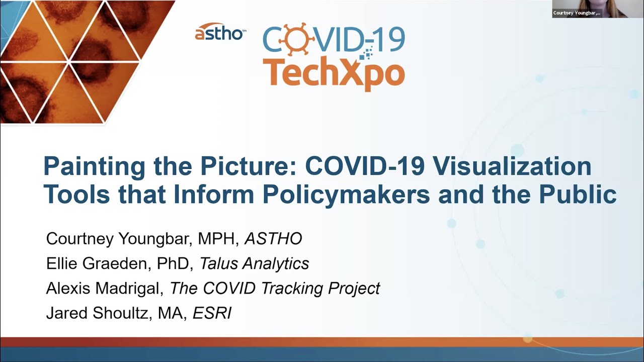 Painting the Picture: COVID-19 Visualization Tools that Inform Policymakers and the Public