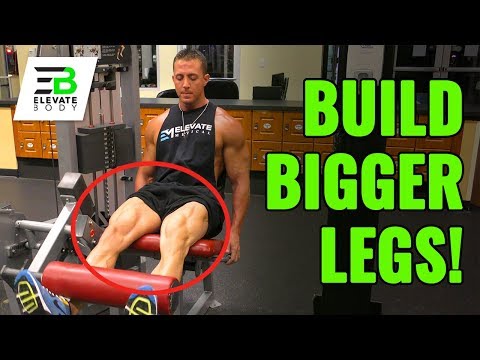 How To Build Bigger Legs For Beginners (LEG WORKOUTS FOR MASS!) | Paul ...