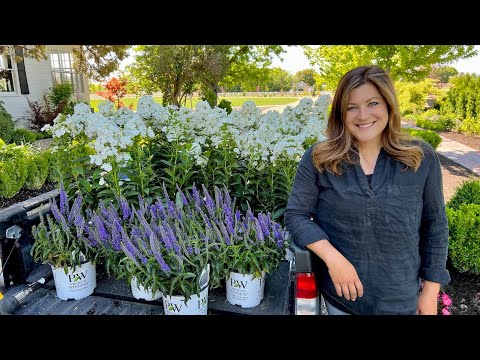 Planting Colorful Perennial Phlox & Veronica! 💜🤍💚 // Garden Answer