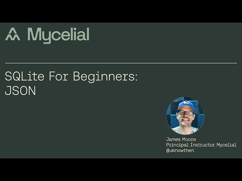 SQLite for beginners: JSON