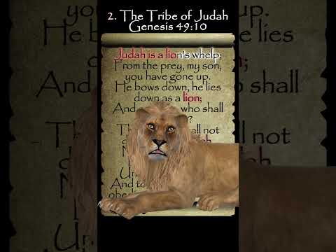 Prophecy: Lion of the Tribe of Judah