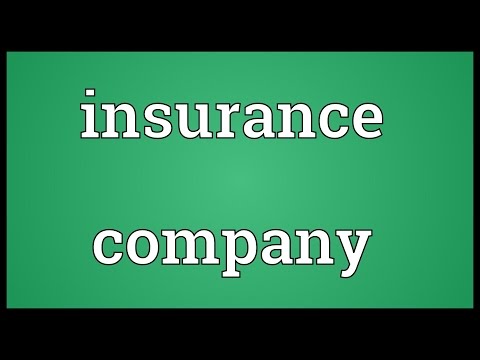 Insurance company Meaning