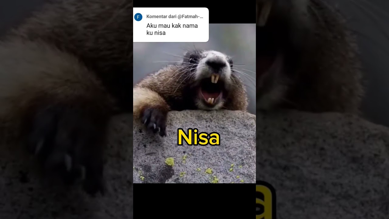Nama Nisa