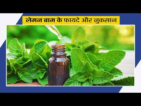 लेमन बाम के फायदे | Learn All About Lemon Balm (Its Uses and Benefits)
