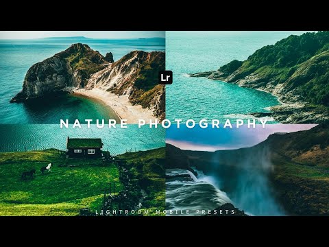 Nature Photography - Free Lightroom Mobile presets | Lightroom Tutorial 2024