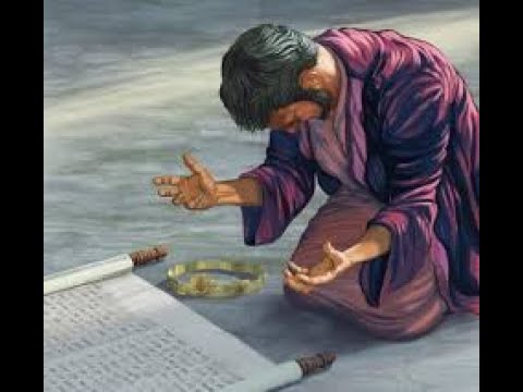 Courtney's Confusion: Mercy of the Lord