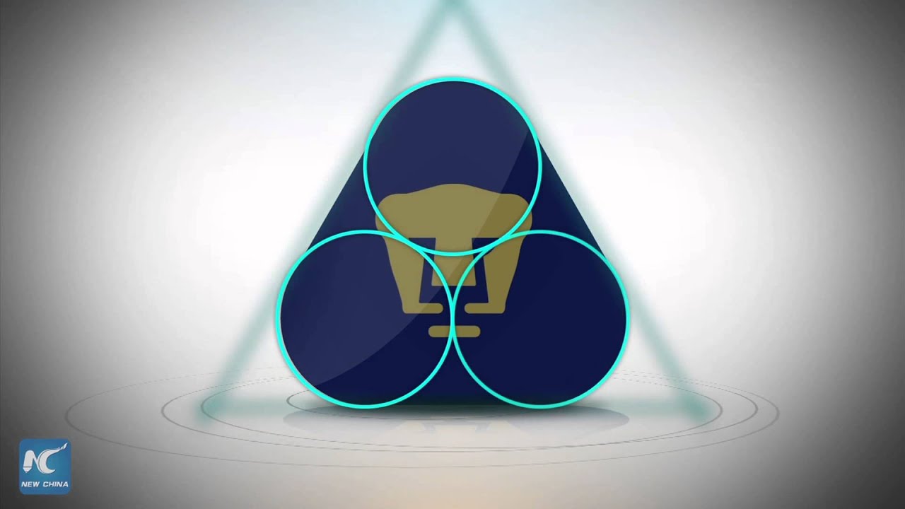 The Pumas' Shield