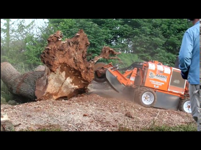 Stump Grinders Edge - Alpine Rhino Wheel Gallery