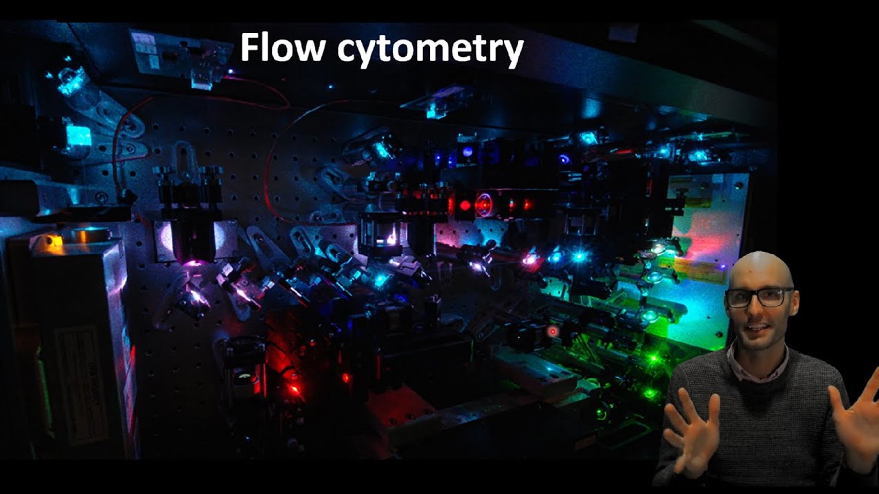 What is flow cytometry and how does it work?