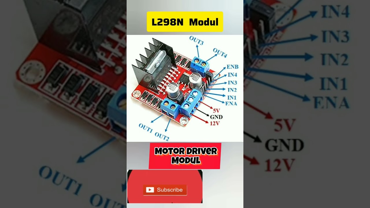 L298N Motor Driver Modul pinout #akexperiment #electronic #pinout #l298n #298 #motordriver #shorts