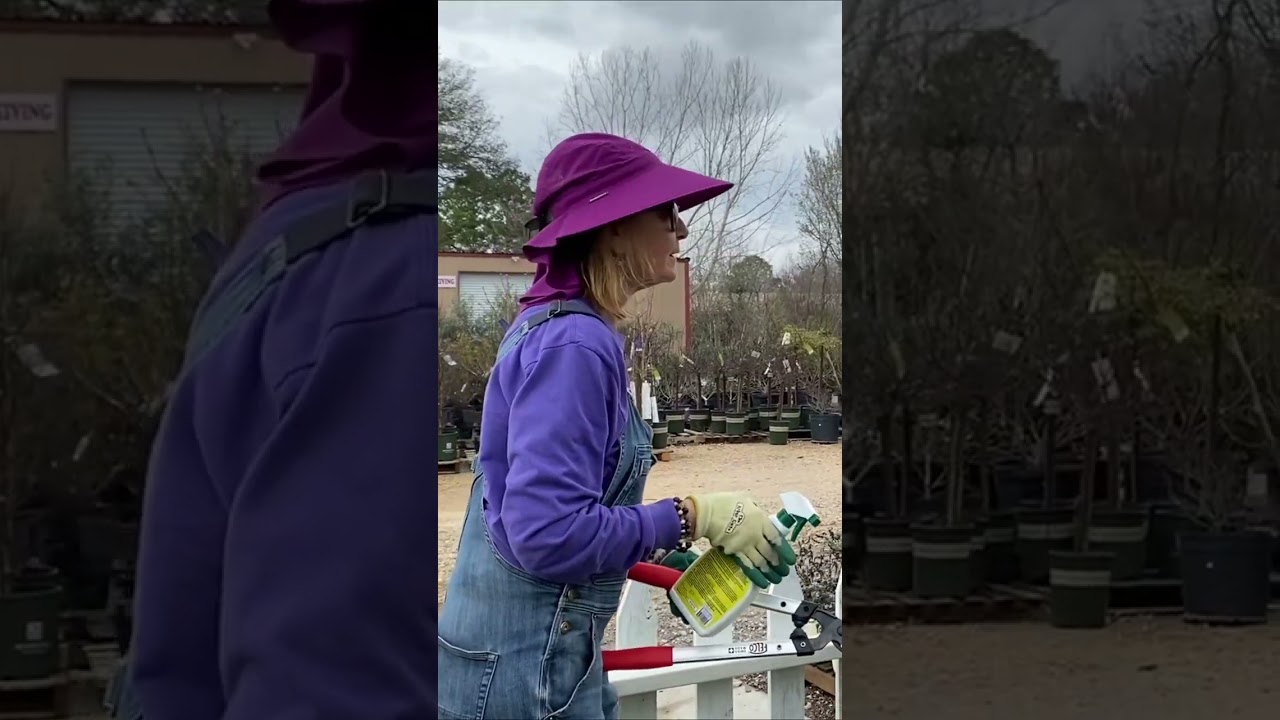 The Best Organic Tree Wound Care: IV Organics Review