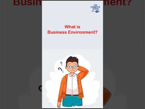 What is Business Environment?