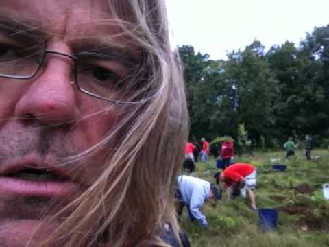b!||yzee: crunchy environmentalist. How to mulch Wild Roses (part one)