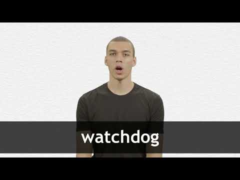 WATCHDOG definition and meaning | Collins English Dictionary