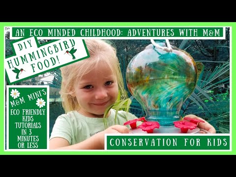 How To Make DIY Hummingbird Food For Kids!