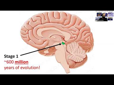 tinyML Talks: Cracking a 600 million year old secret to fit computer vision on the edge