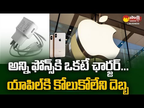Universal Charger Concept Will Incur Huge Loss To Apple || Sakshi TV Business