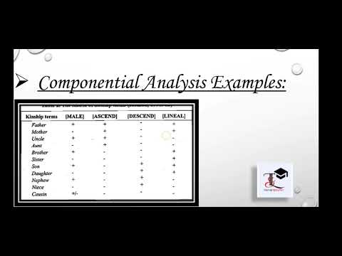 Componential Analysis In Semantics