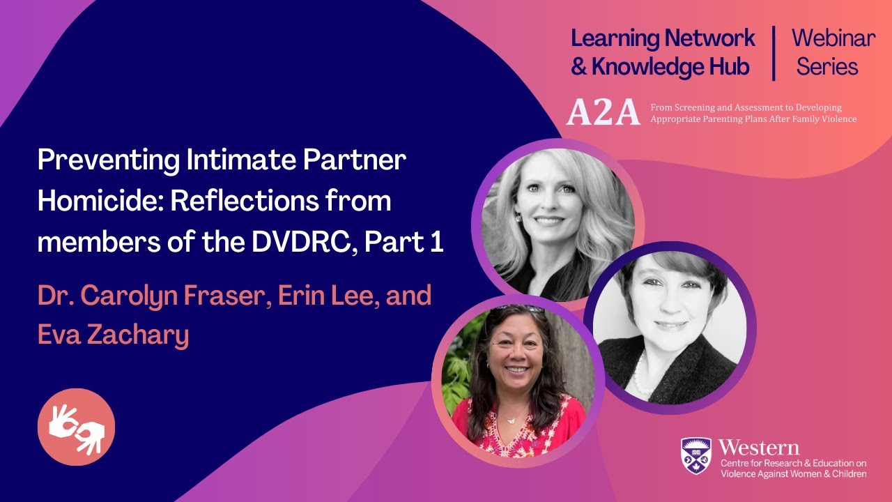 Preventing Intimate Partner Homicide: Reflections from Members of the DVDRC, Part 1