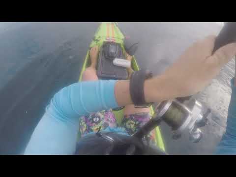 accurate reels and seeker rods & Nomad tackle and design
