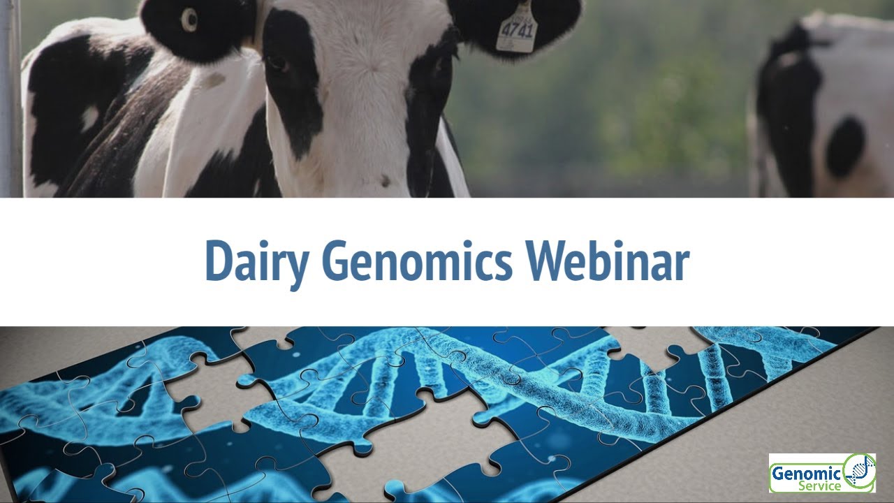 Webinar - Dairy Genomics - The Challenges & Changes