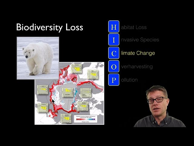 Understanding the Loss of Biodiversity: Causes, Consequences, and ...