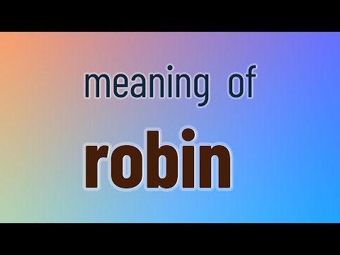 Robin - 15 English Vocabulary Flashcards