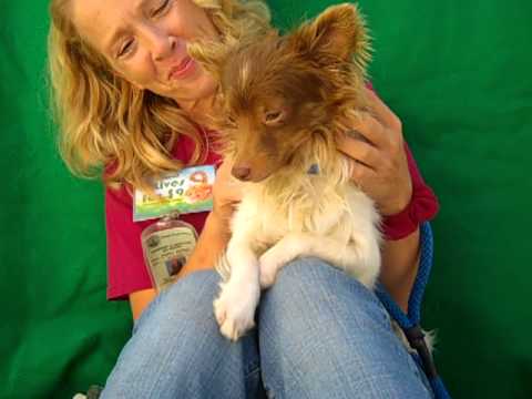 Baby A4441234 RESCUED!!!