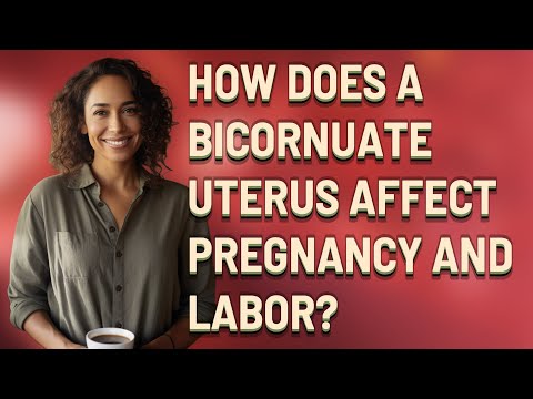 How does a Bicornuate uterus affect pregnancy and labor?