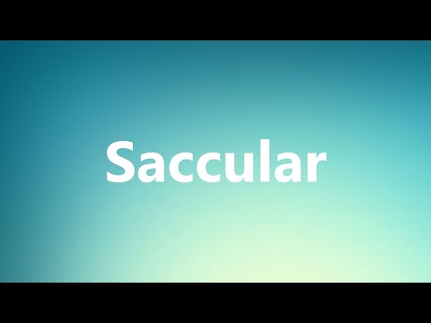 Saccular - Medical Definition and Pronunciation